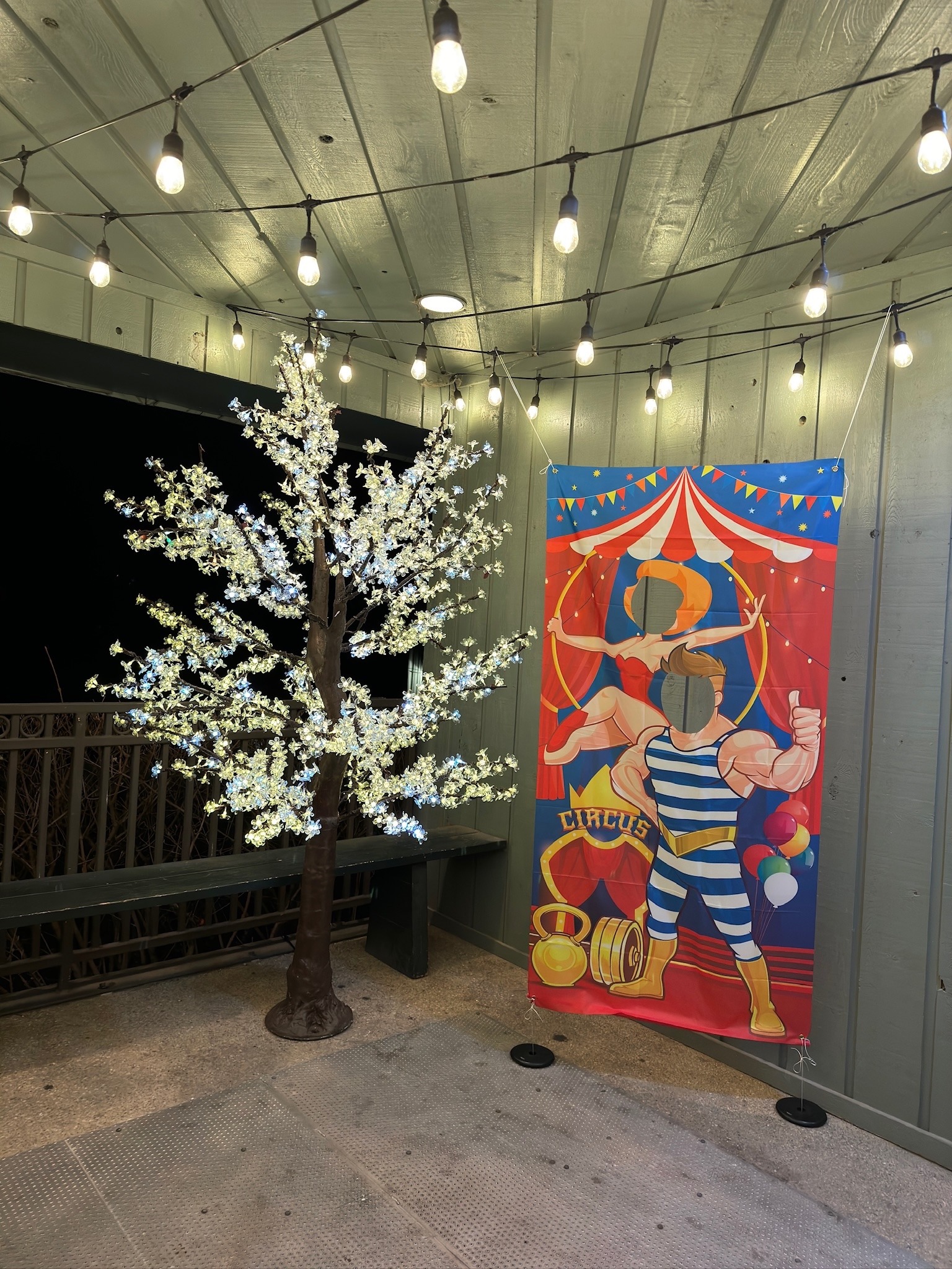 Blingle! Premier Lighting of Greater Lexington Kentucky