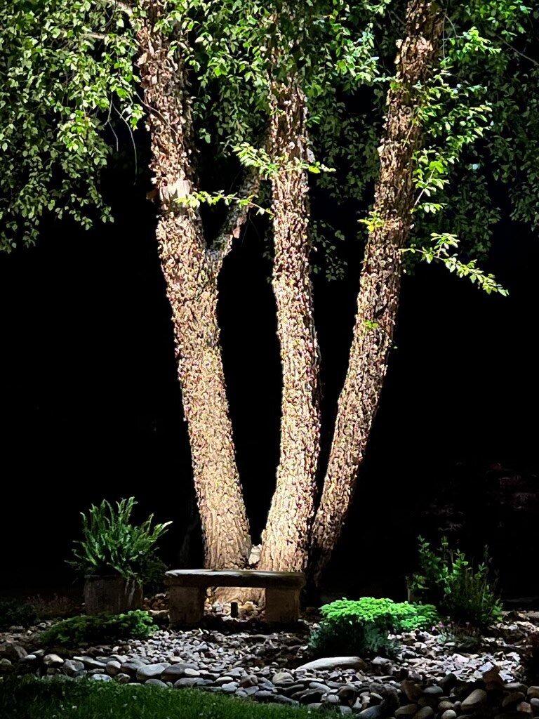 Blingle! Premier Lighting of Greater Lexington Kentucky